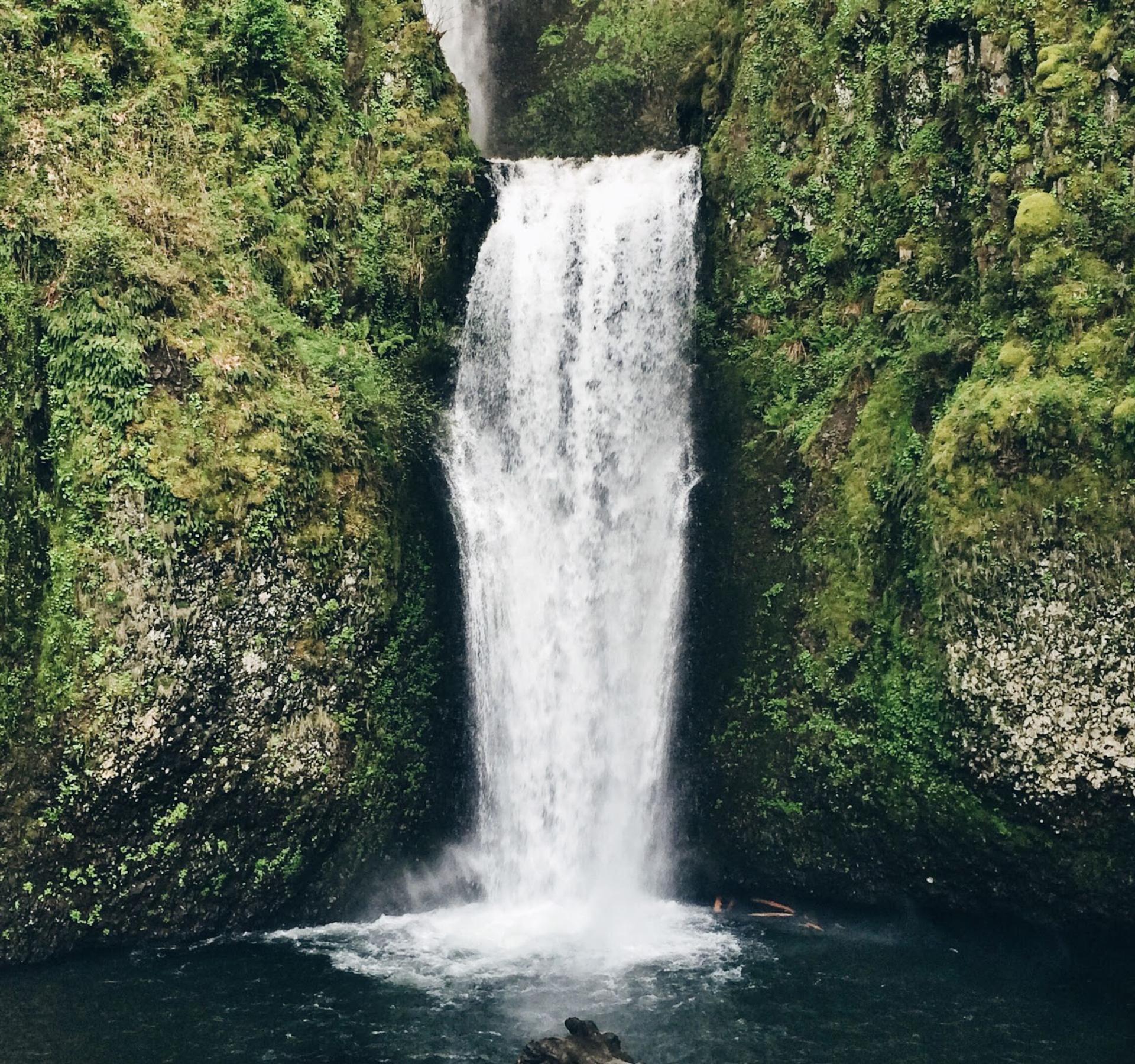 Waterfall Methodology in Project Management: Comprehensive Guide | Leland