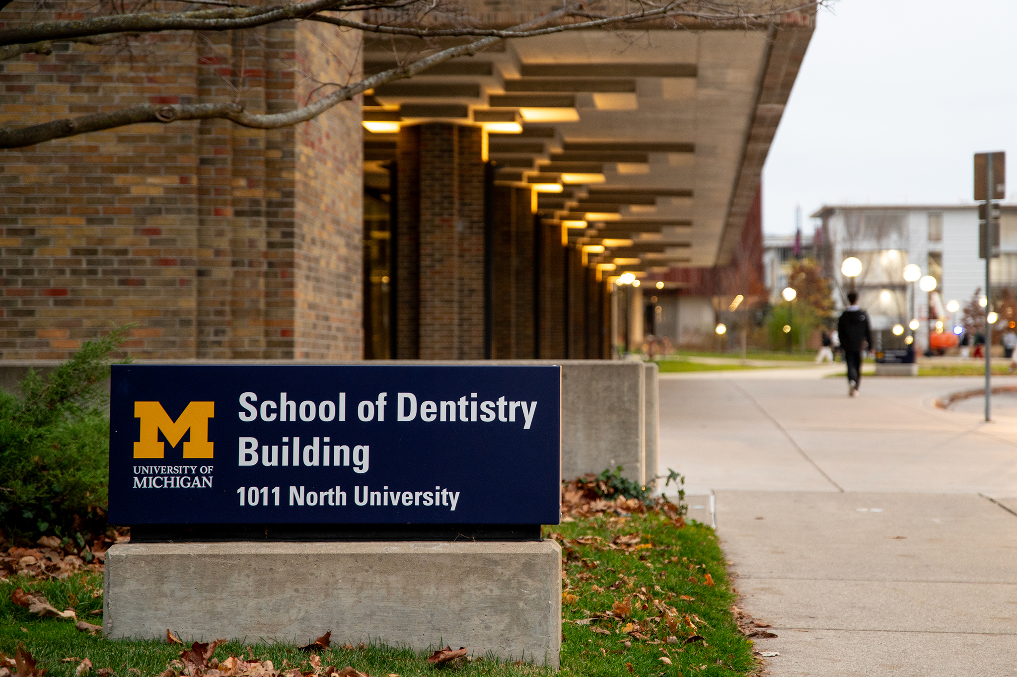 Comprehensive List of Accelerated Dental Hygiene Programs | Leland