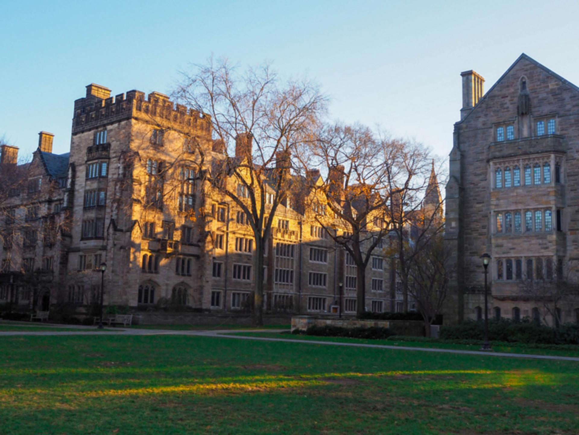 Yale SOM MBA: Acceptance Rate, Deadlines, Cost, Requirements, & Program ...