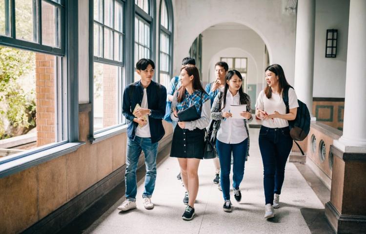 The Freshman’s Guide to Stanford University: Curriculum, Program ...