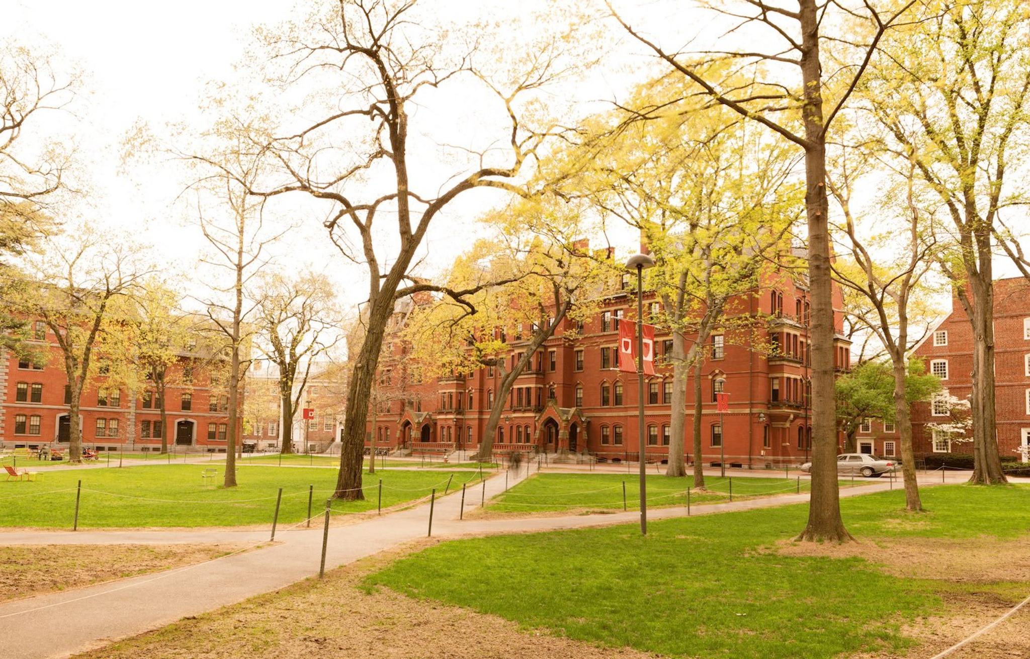 An Overview of the HBS 2+2 Program—and How to Kick Off Your Application ...