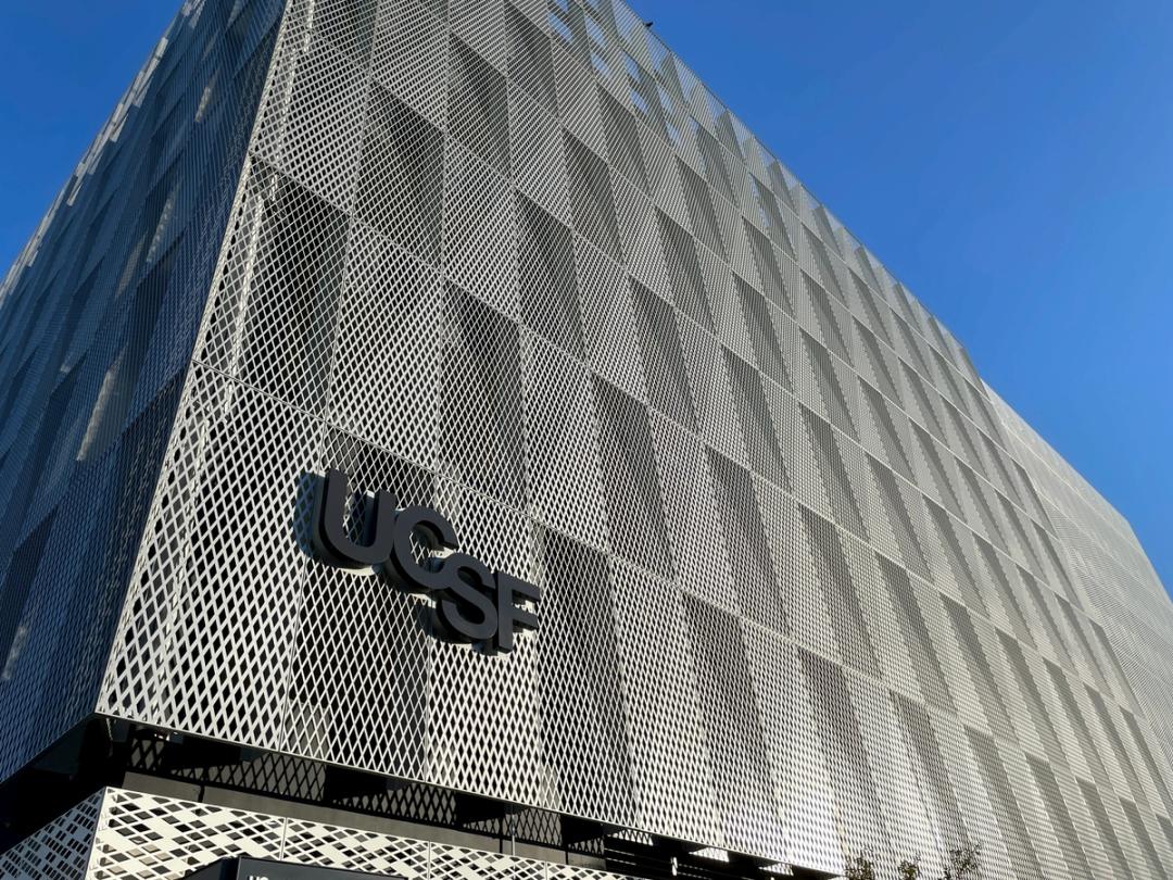 NYU Dental School: Requirements, Tuition, and Program Overview | Leland