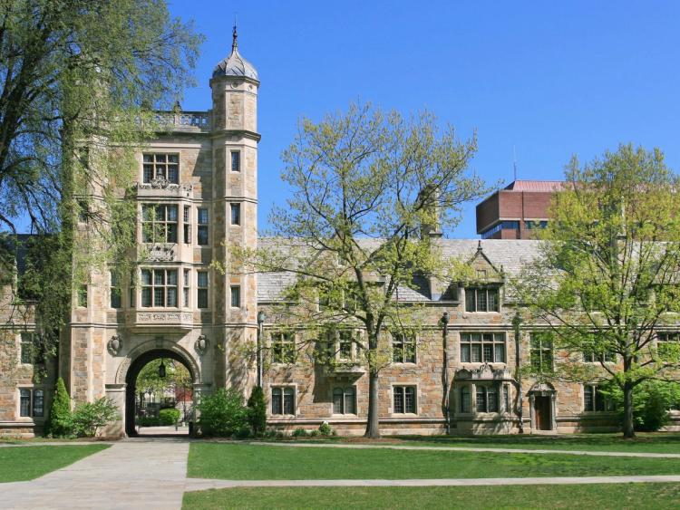 Leland Library | Leland