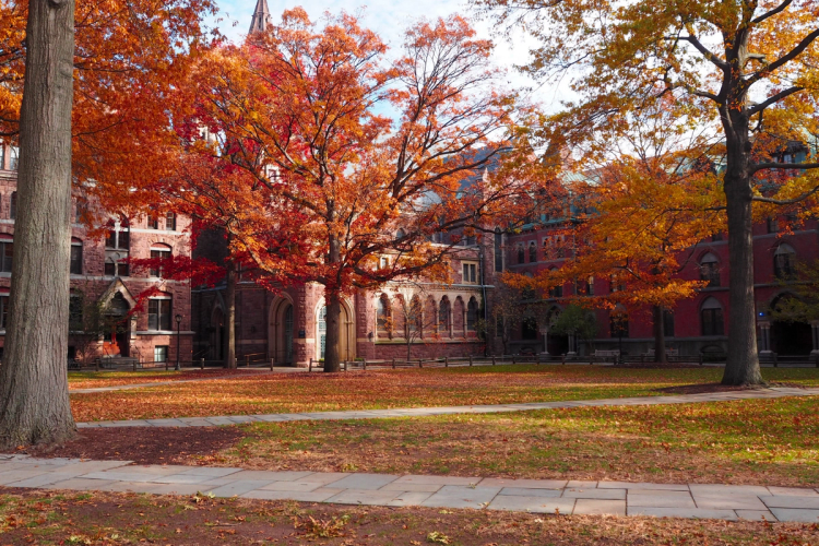 T14 Law Schools: Acceptance Rates & Class Profiles | Leland