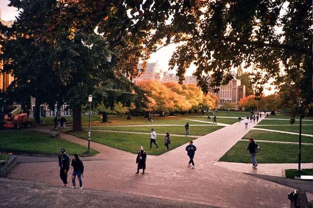 The Freshman’s Guide to Stanford University: Curriculum, Program ...