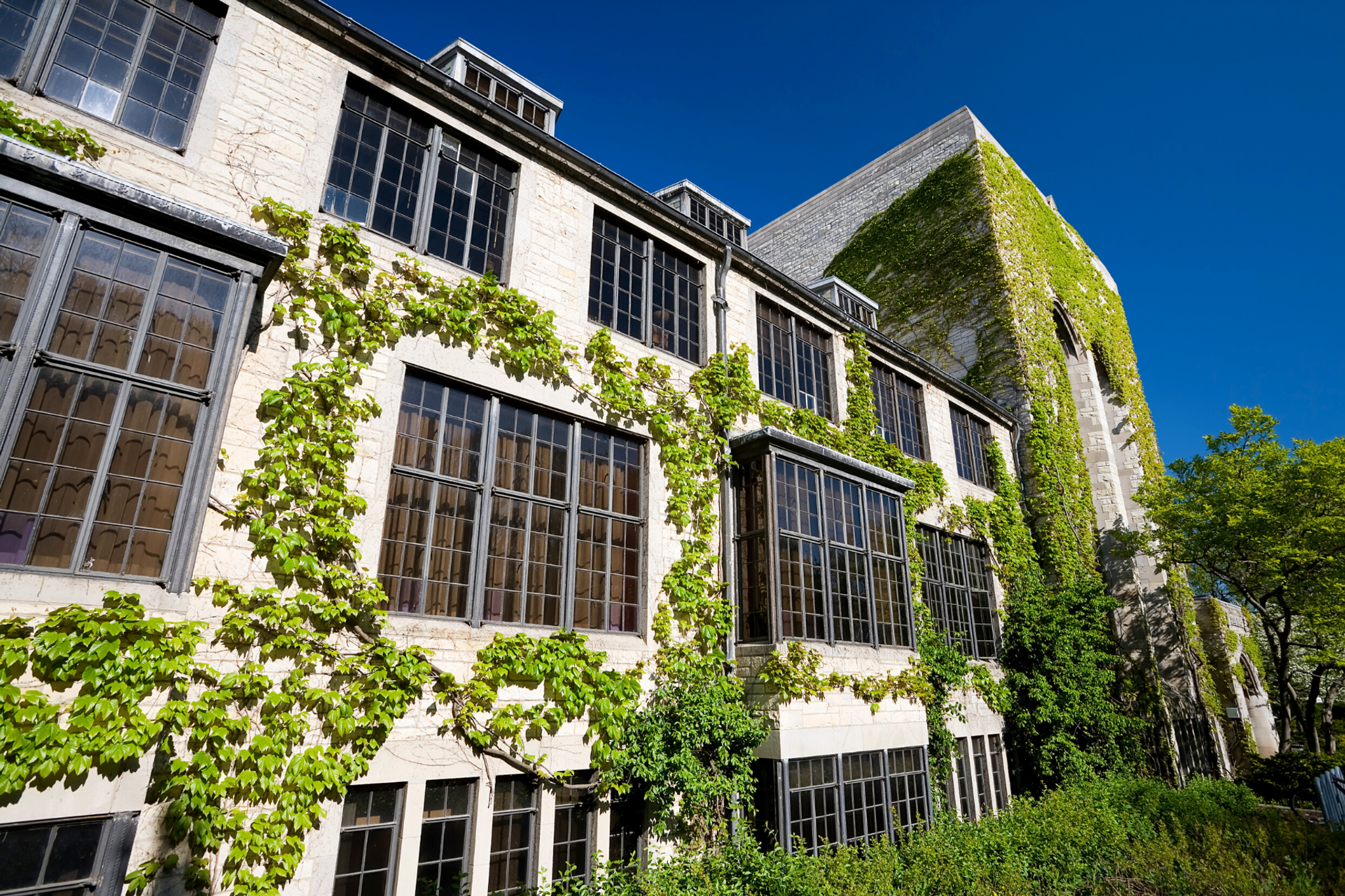 The Top 10 Law Schools for Criminal Law | Leland