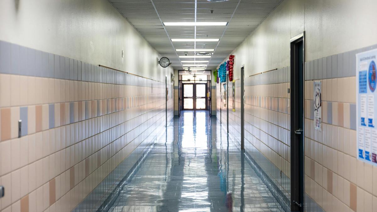 The 25 Best Pre-Med Schools in the US (2026) | Leland