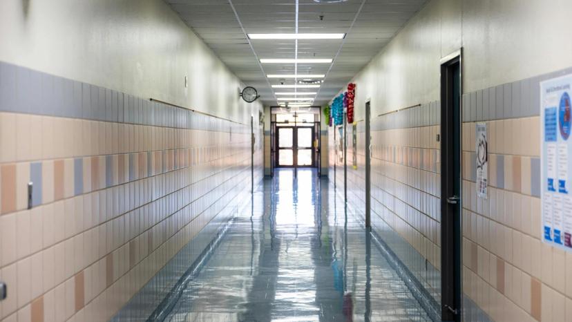 The 25 Best Pre-Med Schools in the US (2026) | Leland