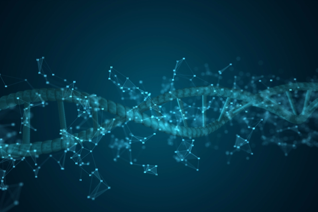 A Guide to Private Equity Valuation: How It Works | Leland