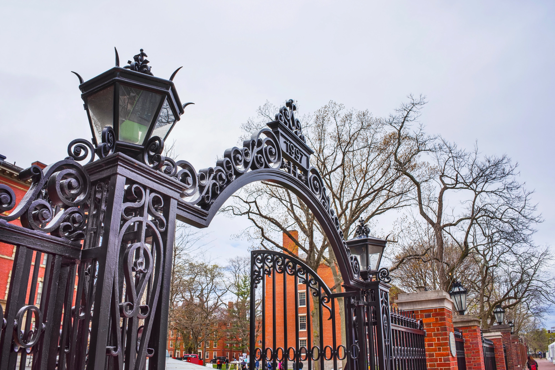 How to Get Into Harvard Medical School: Requirements & Application ...