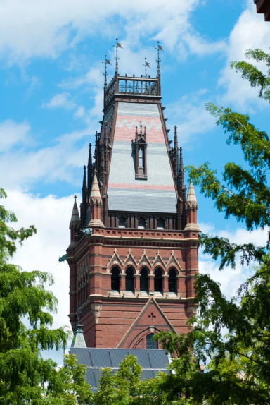 How to Get Into Harvard Medical School: Requirements & Application ...