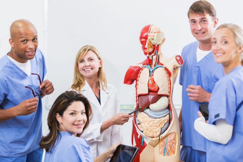 50 Different Types of Nursing Specialties | Leland