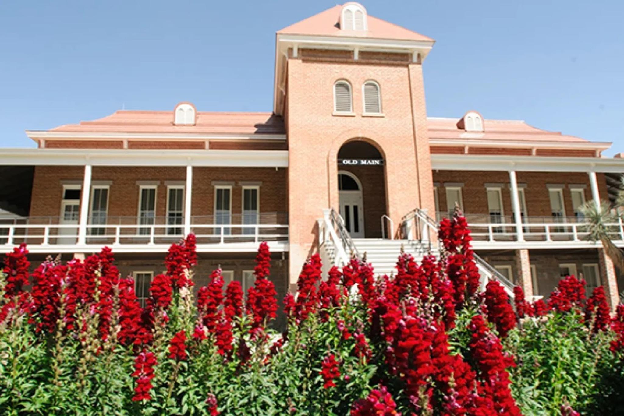 How to Get Into FSU Law School (2024-2025) | Leland