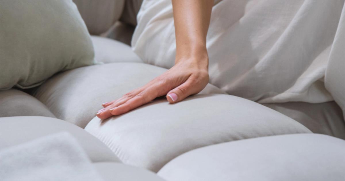 How to Remove Pet Hair From a Couch | Micadoni
