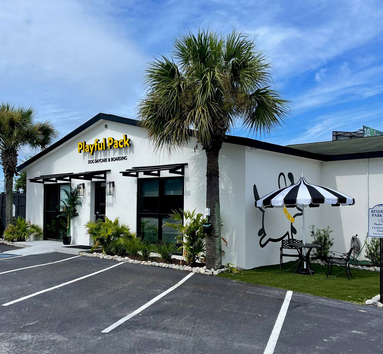 Dog Daycare and Dog Boarding in Charleston, SC - Playful Pack