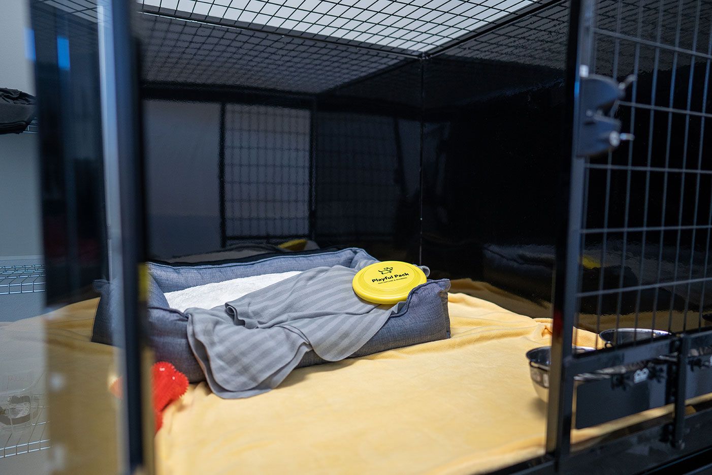 Dog Boarding Done Right: Why Choose Playful Pack - Playful Pack