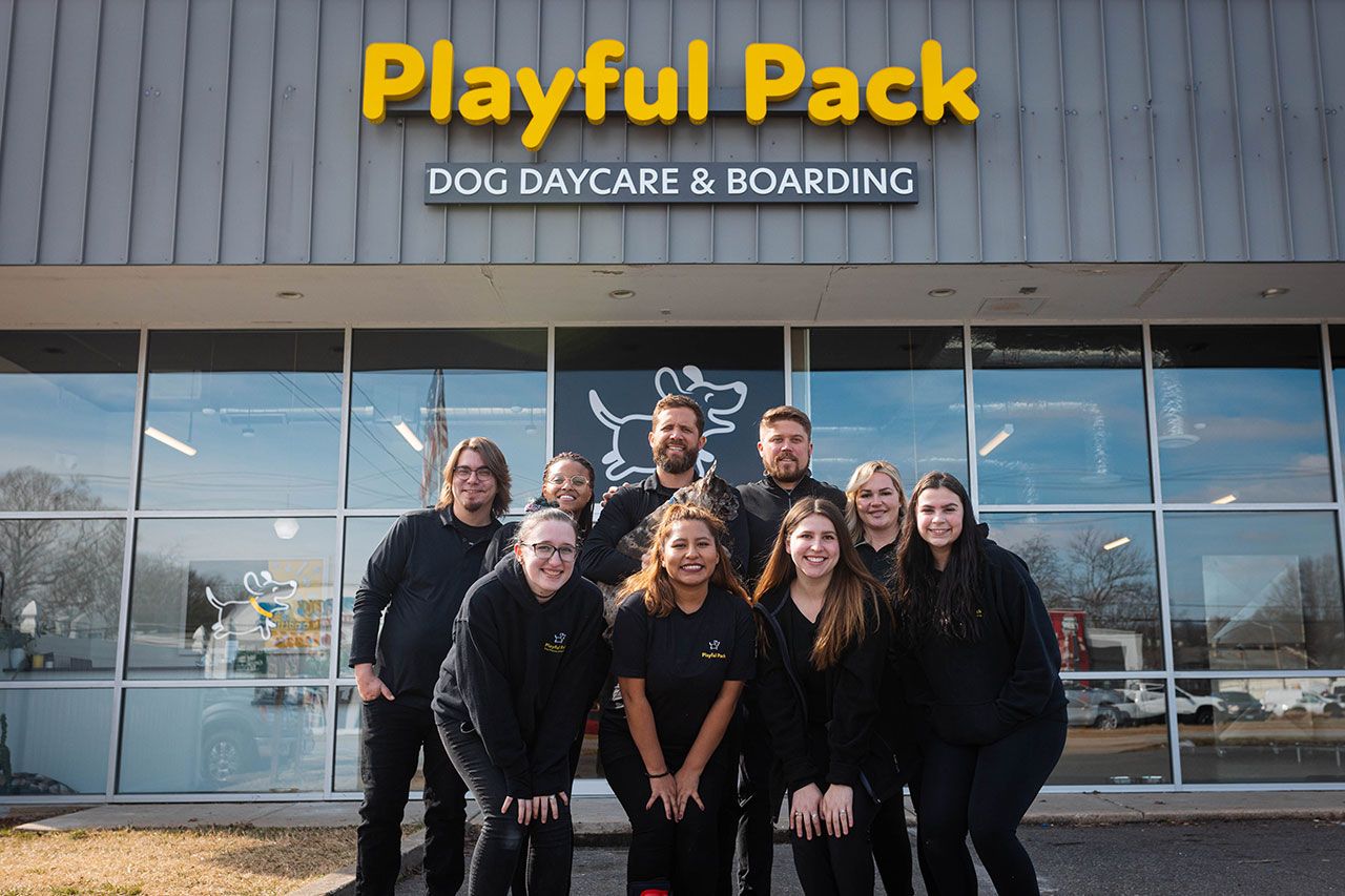 Join The Playful Pack Team - Playful Pack