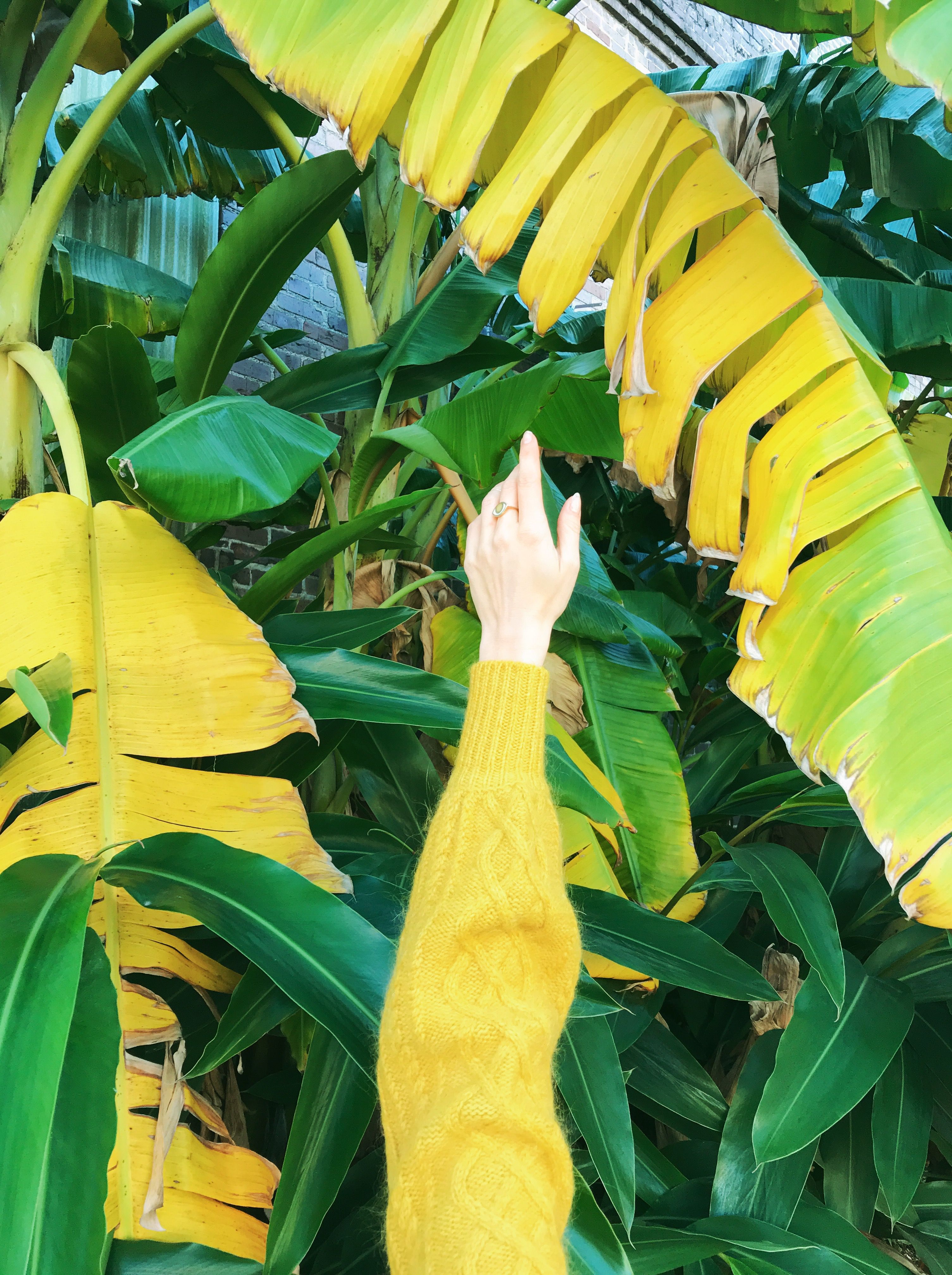 Reel Good Video Editing — Marco Experiences