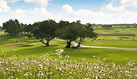 Top 100 Golf Courses