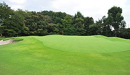 Top 100 Golf Courses