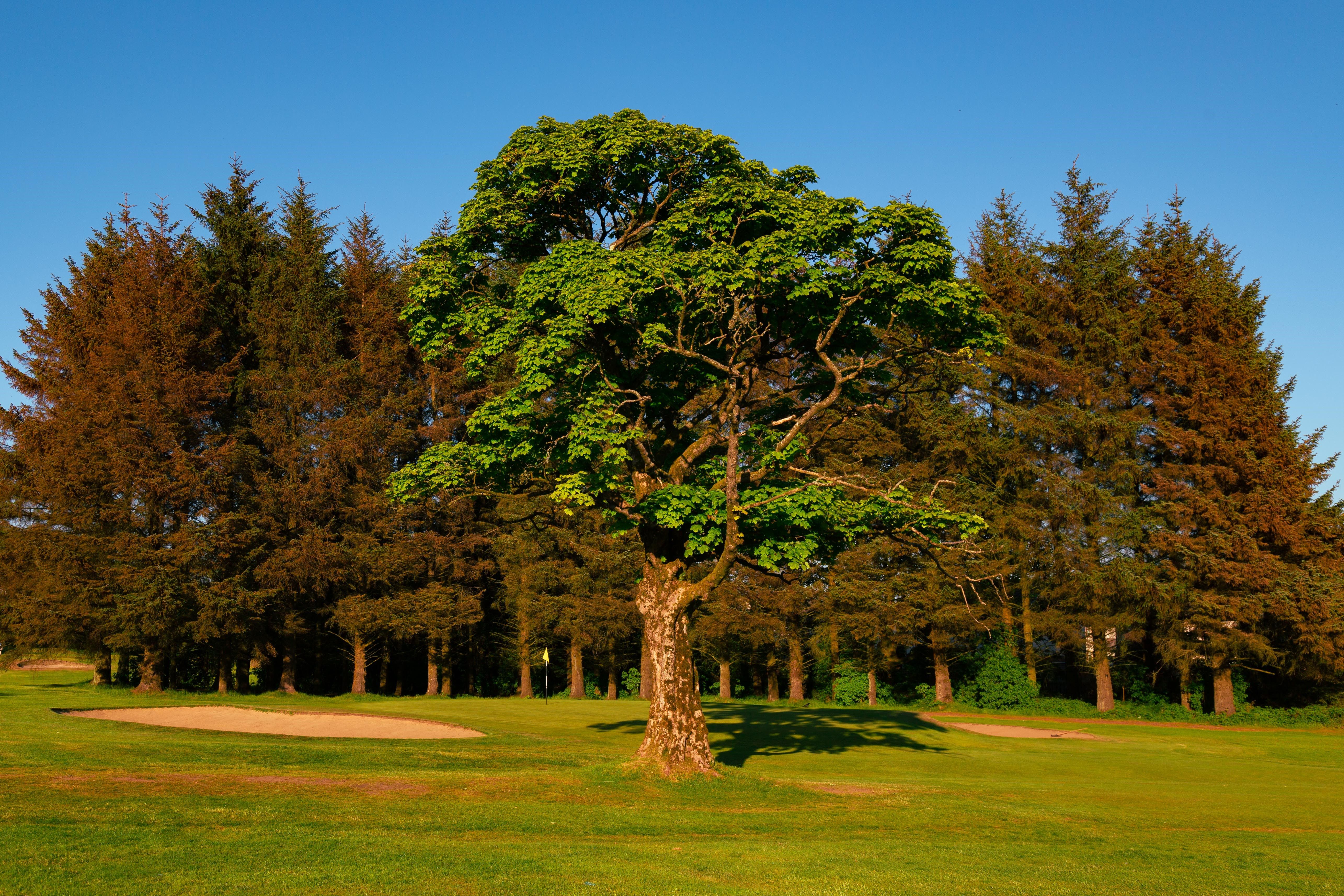 Top 100 Golf Courses