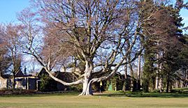 Top 100 Golf Courses