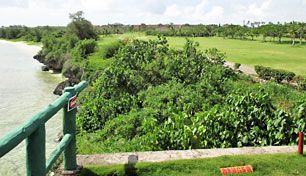 Top 100 Golf Courses