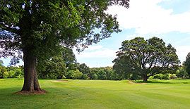 Top 100 Golf Courses