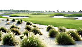Top 100 Golf Courses
