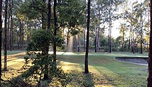 Top 100 Golf Courses