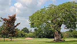 Top 100 Golf Courses