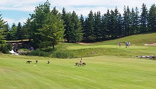 Top 100 Golf Courses