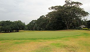 Top 100 Golf Courses