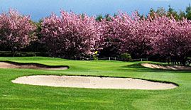 Top 100 Golf Courses