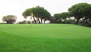 Top 100 Golf Courses