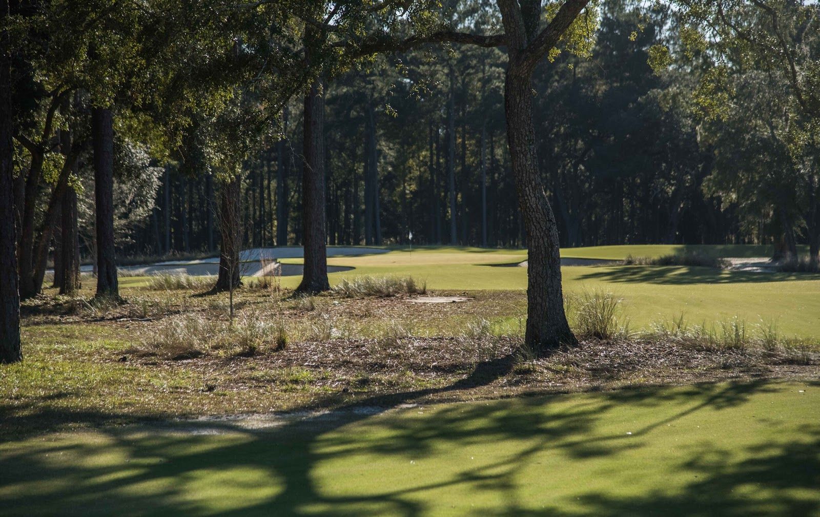 Top 100 Golf Courses