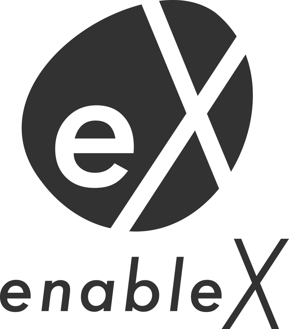 事業創出に、圧倒的な推進力を | enableX