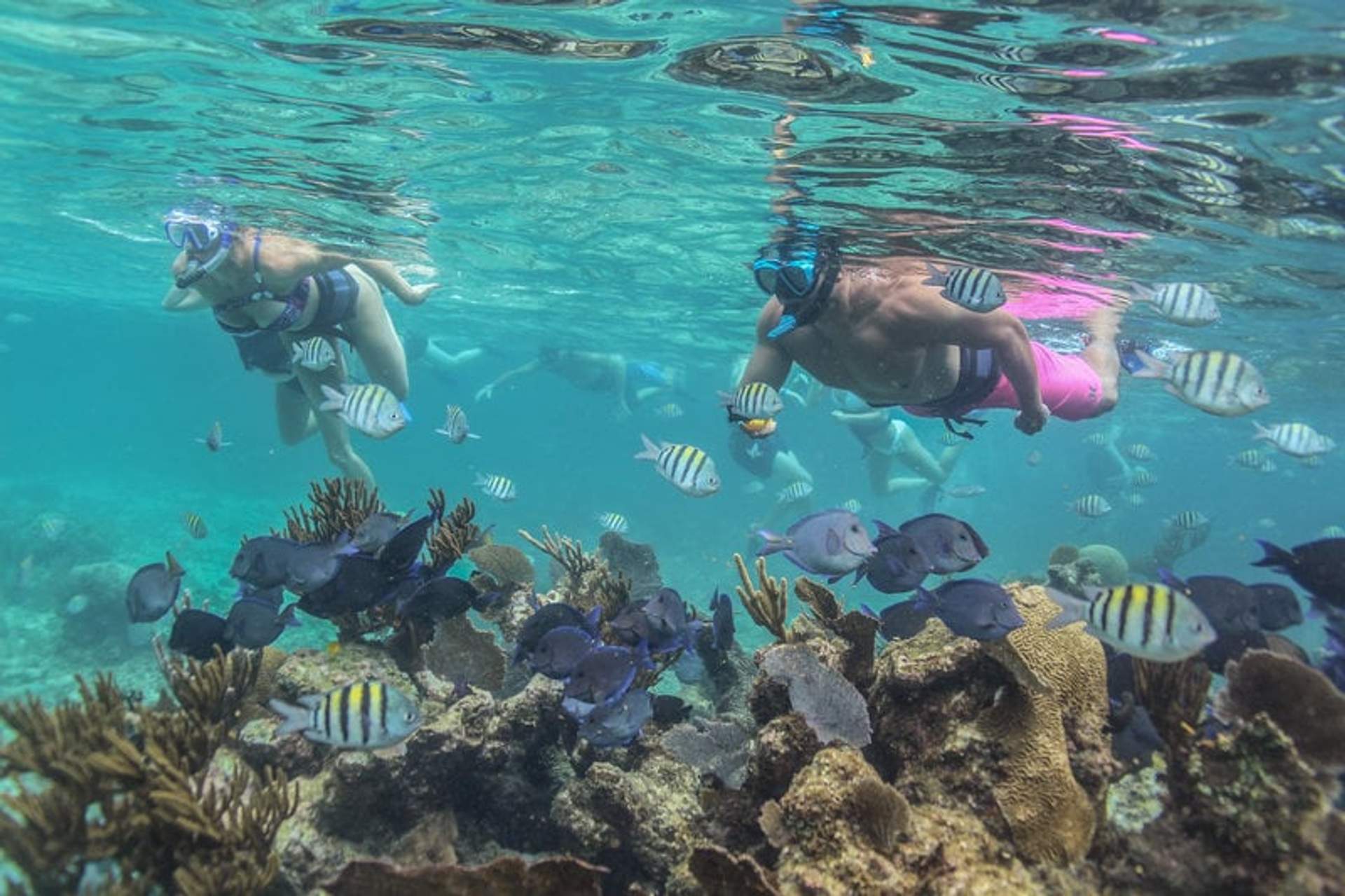 Snorkeling in Coba's clear waters, tourists explore vibrant marine life ...