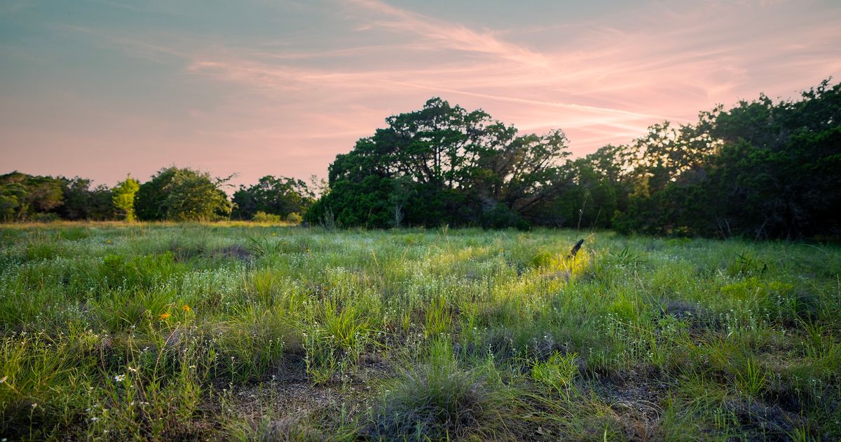 Ridgeline Ranch | West Pole Land & Ranch