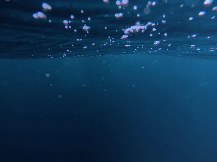 Subsea Surveys - Norwegian Subsea