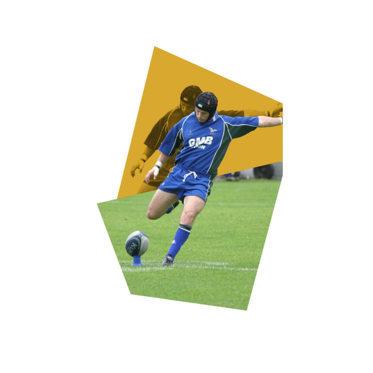 Hall of Fame and Roll of Honour