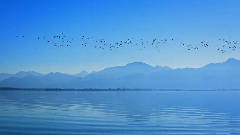 Azure Migration Strategy Steps Strategies And Cost