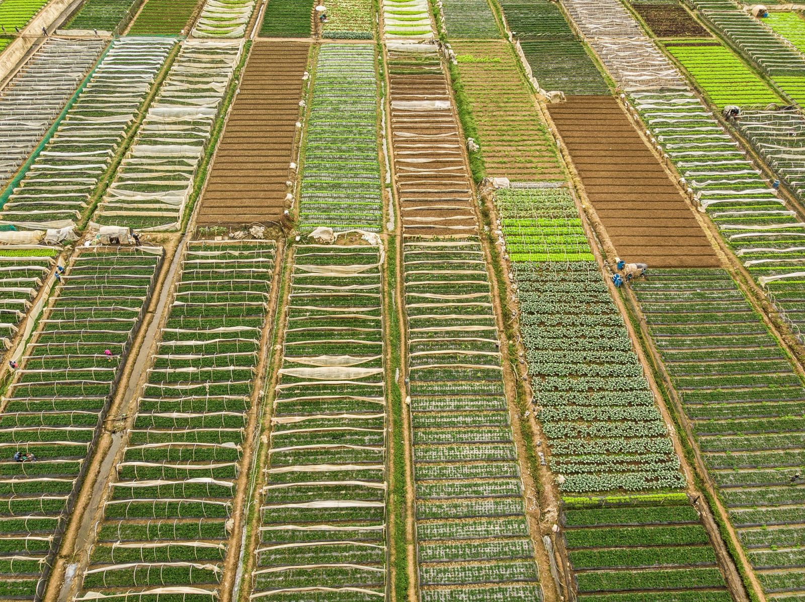 Energy Transition | SLR Consulting