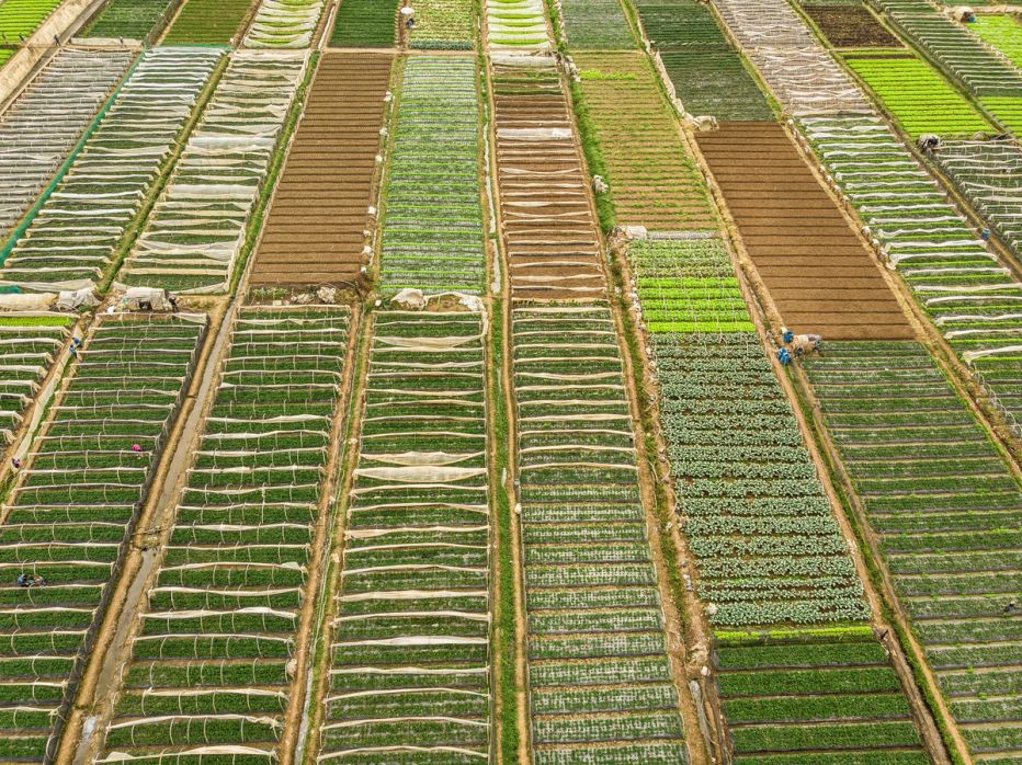 Australian Sustainability Reporting Standards (ASRS) – Assurance ...