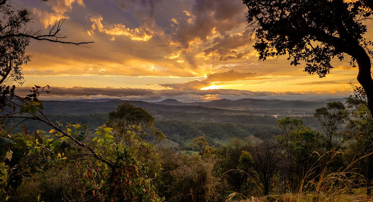 How to stop buying nature strategies that don’t work