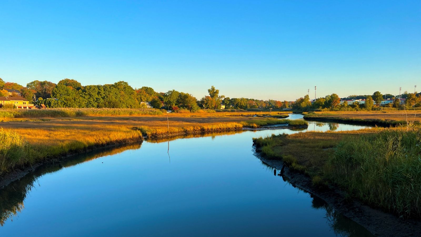 Cove River Tidal Marsh Restoration, Pedestrian Bridge and Sea Bluff ...