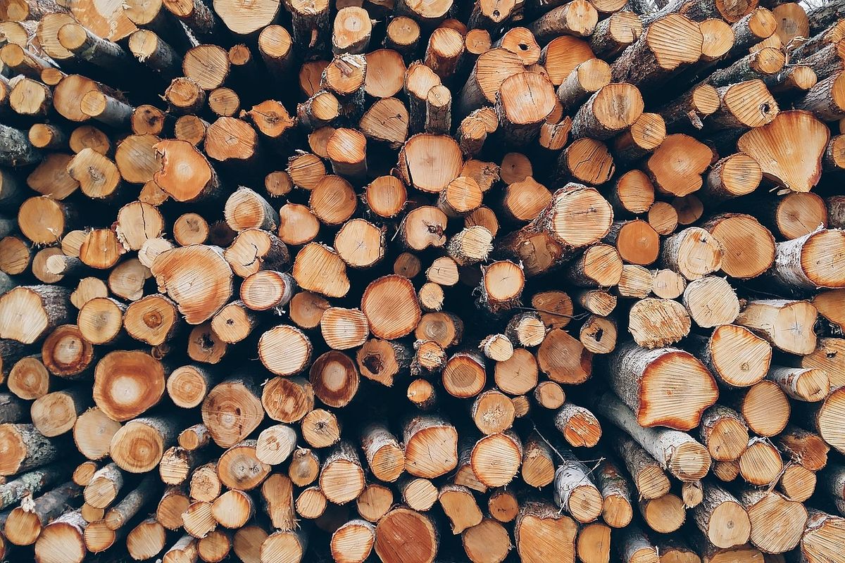 Report: Still feeling stumped?