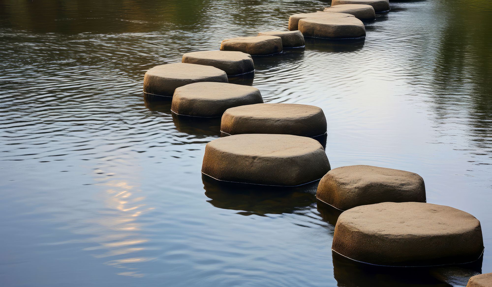 CDP 2024 Timeline: Essential milestones and what these mean for you