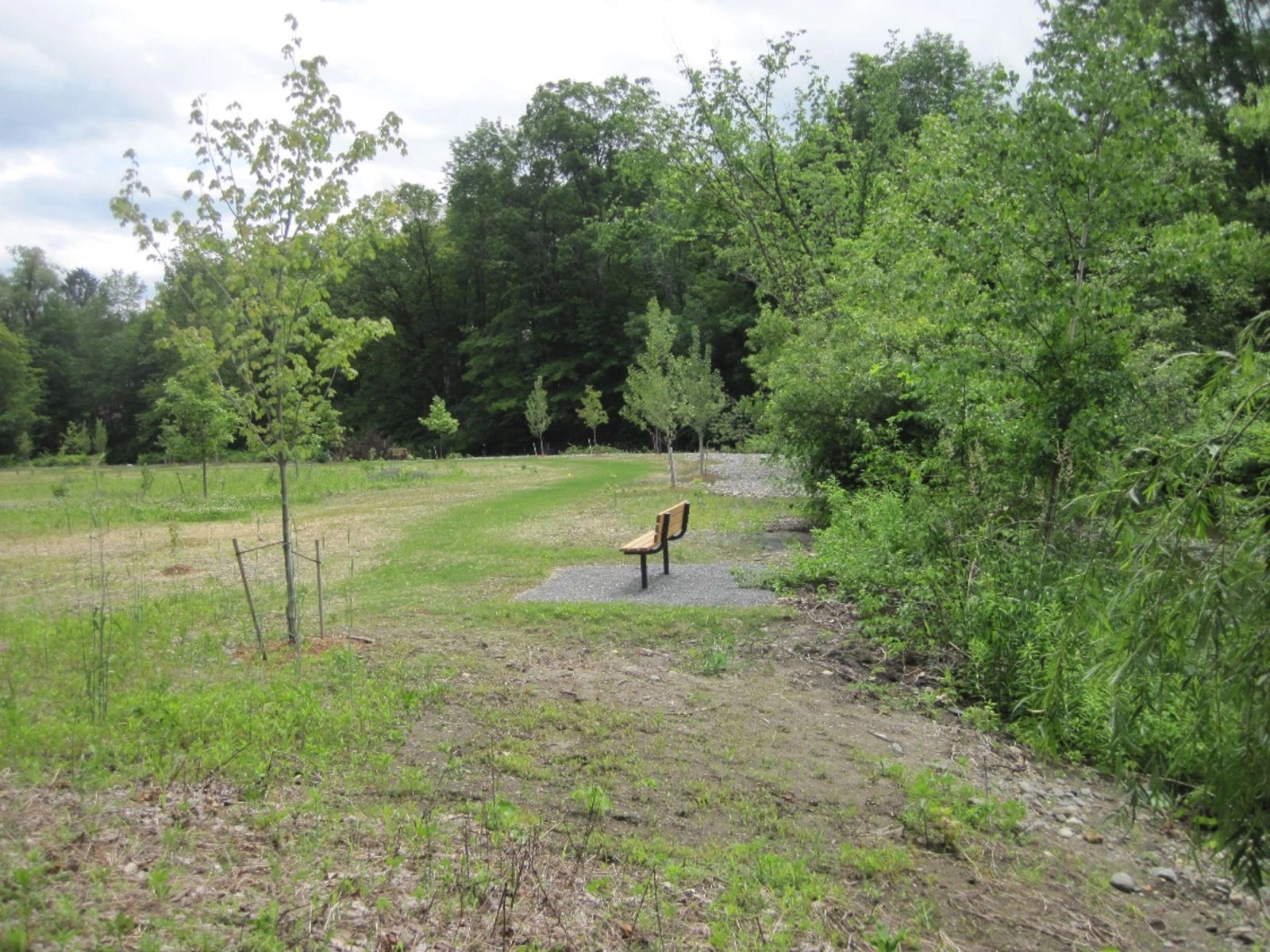 Melrose Terrace floodplain restoration