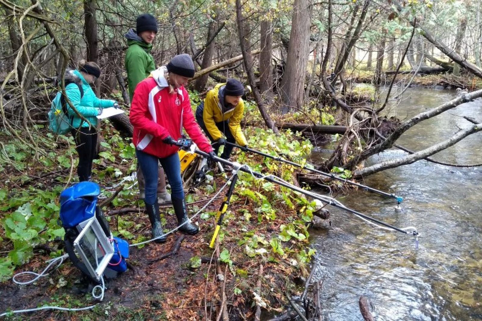 The Power of Environmental DNA | SLR Consulting